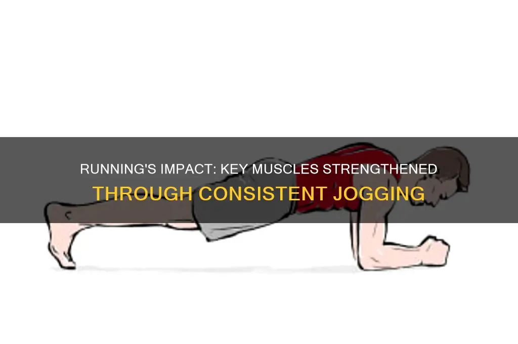 Running's Impact: Key Muscles Strengthened Through Consistent Jogging ...