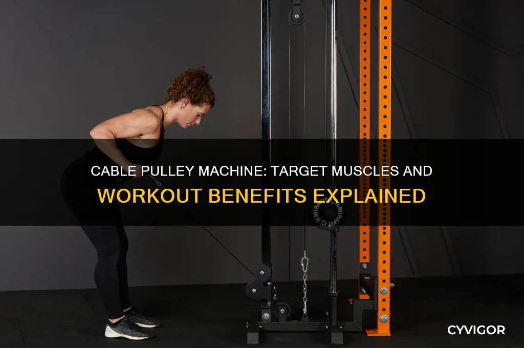 Cable Pulley Machine: Target Muscles And Workout Benefits Explained ...
