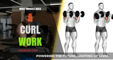 Effective 90-Degree Arm Raise: Targeted Muscles And Benefits Explained ...