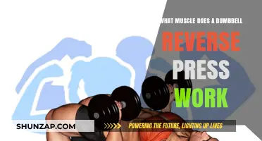 Y Raises: Targeting Upper Back And Shoulder Muscles Effectively | CyVigor