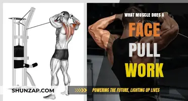 Effective 90-Degree Arm Raise: Targeted Muscles And Benefits Explained ...