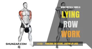 Effective 90-Degree Arm Raise: Targeted Muscles And Benefits Explained ...