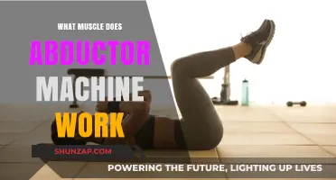 Adductor Machine Workout: Targeting Inner Thigh Muscles For Strength ...