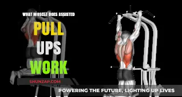 V Squat Benefits: Targeted Muscles And Effective Workout Techniques ...
