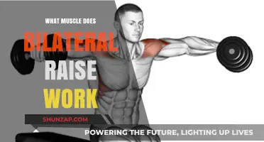 Arm Extension Muscles: Triceps, Shoulders, And Back Strength Explained ...