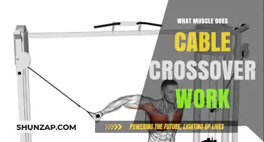 Ckc Terminal Knee Extension: Targeted Muscles And Benefits Explained ...