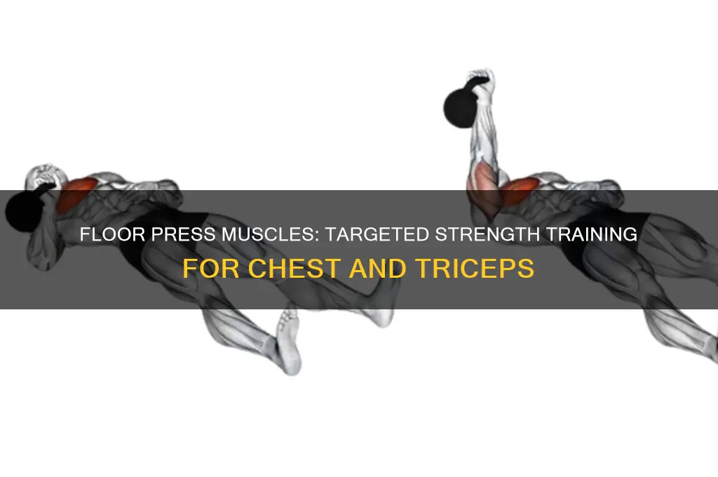 Floor Press Muscles: Targeted Strength Training For Chest And Triceps ...