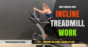 High Pulls: Target Muscles And Benefits For Strength Training | CyVigor