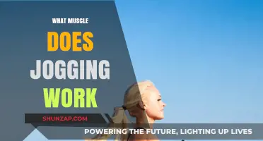 Landmine Press: Targeted Muscles And Benefits Explained | CyVigor