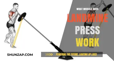 Lateral Pull Down: Targeted Muscles And Effective Workout Benefits ...