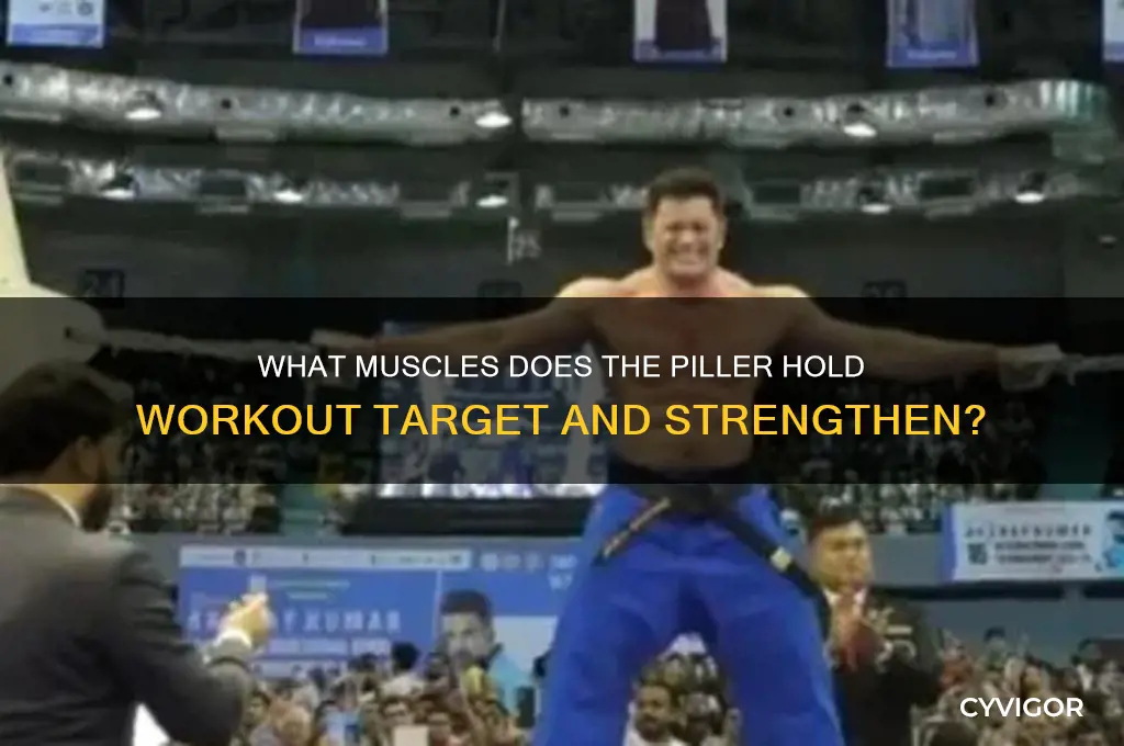 What Muscles Does The Piller Hold Workout Target And Strengthen? | CyVigor