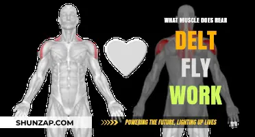 Skipping's Surprising Muscle Benefits: A Full-Body Workout Explained ...