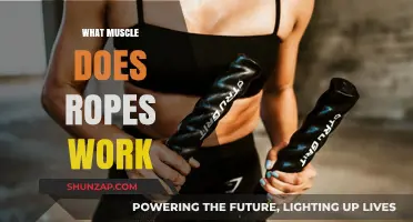 Scaption Exercise: Targeting Shoulder Muscles For Strength And ...