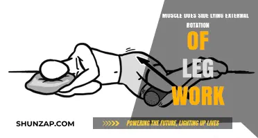 Skipping's Surprising Muscle Benefits: A Full-Body Workout Explained ...