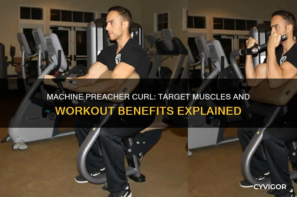 Machine Preacher Curl: Target Muscles And Workout Benefits Explained ...