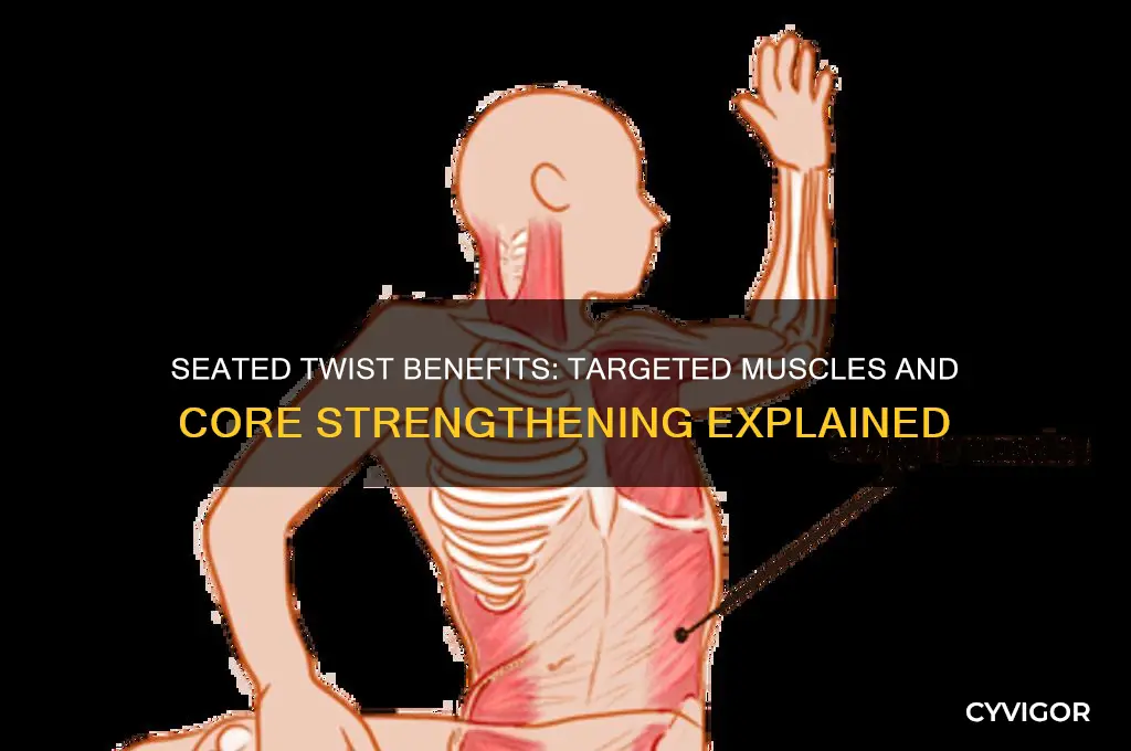Seated Twist Benefits: Targeted Muscles And Core Strengthening ...