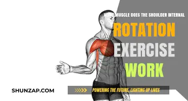 Underhand Rows: Target Muscles And Benefits For Strength Training | CyVigor