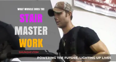 Stairmaster Muscle Workout: Targeting Legs, Glutes, And Core Strength ...