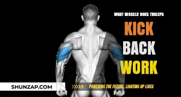 Underhand Rows: Target Muscles And Benefits For Strength Training | CyVigor