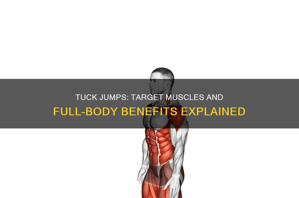 Tuck Jumps: Target Muscles And Full-Body Benefits Explained | CyVigor