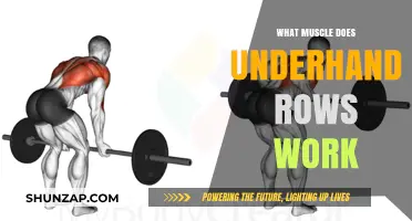 Shoulder Internal Rotation Exercise: Target Muscles And Benefits ...