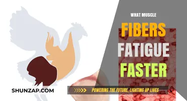 Understanding The Pinky Flex: Muscle Anatomy Explained | CyVigor