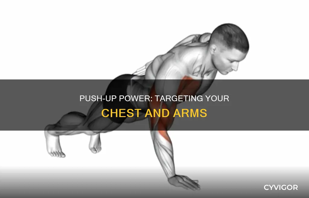 Push-Up Power: Targeting Your Chest And Arms | CyVigor