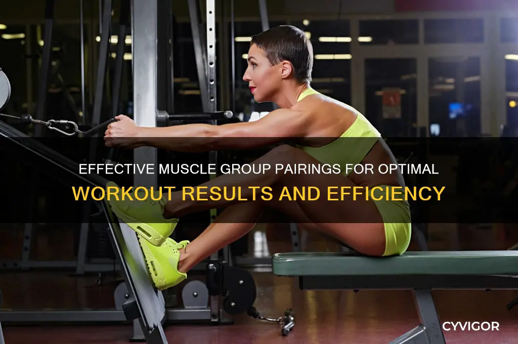 Effective Muscle Group Pairings For Optimal Workout Results And ...