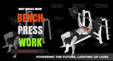 Abdominal Crunches: Targeting Core Muscles For Strength And Stability ...