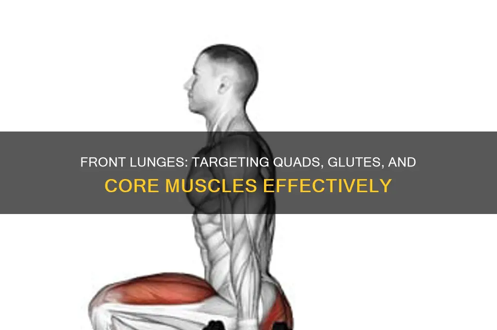 Front Lunges: Targeting Quads, Glutes, And Core Muscles Effectively ...