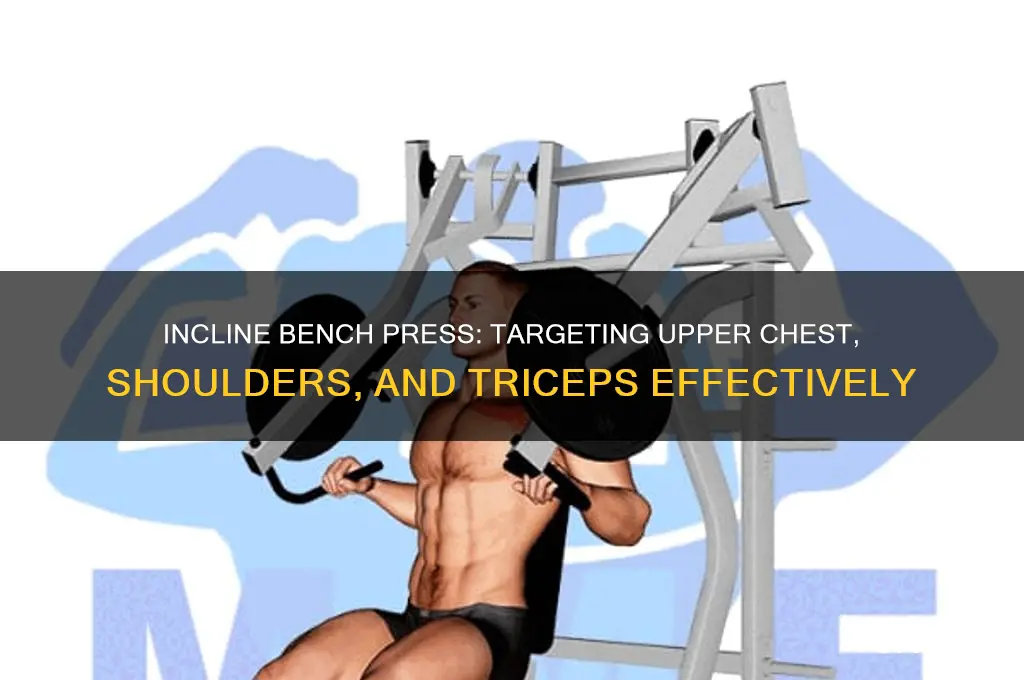 Incline Bench Press: Targeting Upper Chest, Shoulders, And Triceps ...
