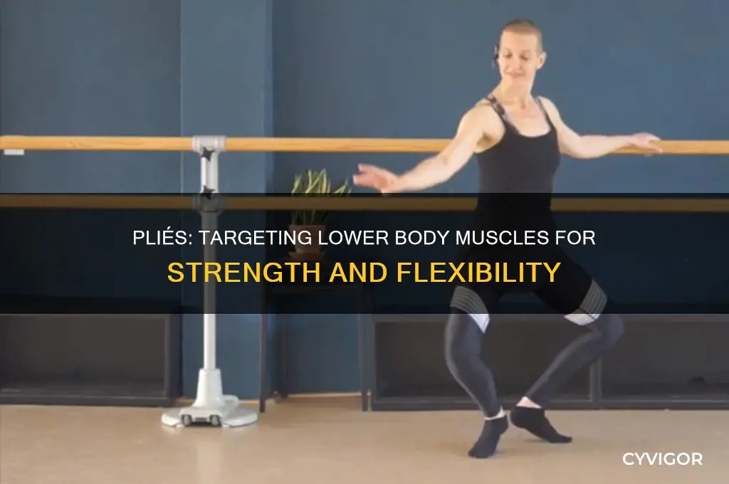 Pliés: Targeting Lower Body Muscles For Strength And Flexibility | CyVigor