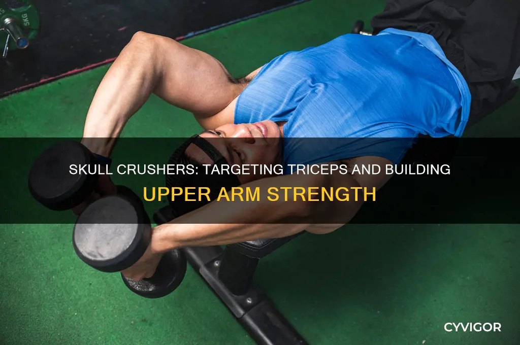 Skull Crushers: Targeting Triceps And Building Upper Arm Strength | CyVigor