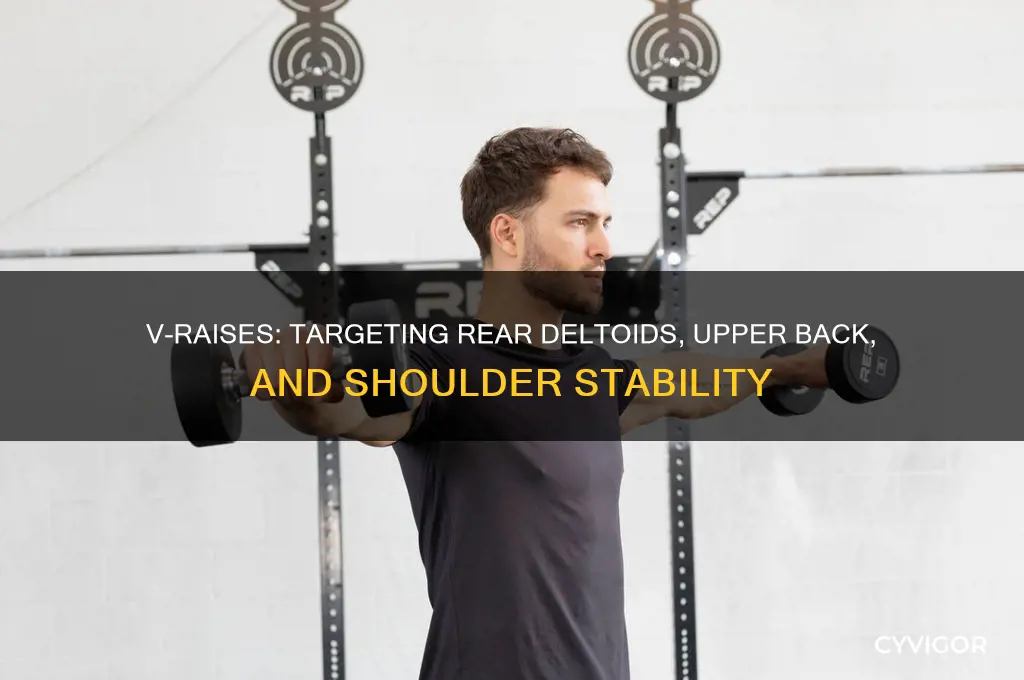 V-Raises: Targeting Rear Deltoids, Upper Back, And Shoulder Stability ...