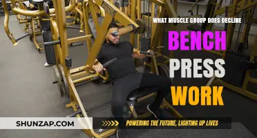 Diamond Push-Ups: Targeted Muscle Groups And Benefits Explained | CyVigor