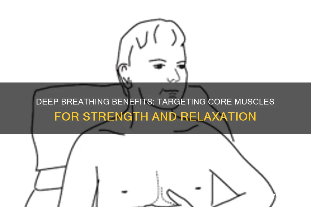 Deep Breathing Benefits: Targeting Core Muscles For Strength And ...