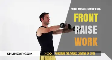 Diamond Push-Ups: Targeted Muscle Groups And Benefits Explained | CyVigor