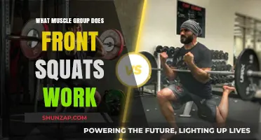 Leg Press Muscles: Targeted Groups And Benefits Explained | CyVigor