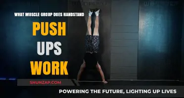 Diamond Push-Ups: Targeted Muscle Groups And Benefits Explained | CyVigor