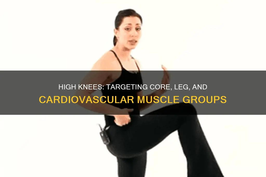 High Knees: Targeting Core, Leg, And Cardiovascular Muscle Groups | CyVigor