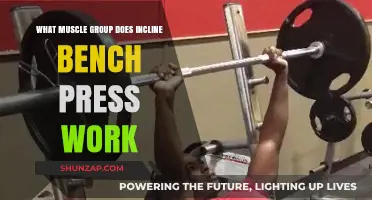 Jumping Jacks: Targeted Muscle Groups And Full-Body Benefits Explained ...