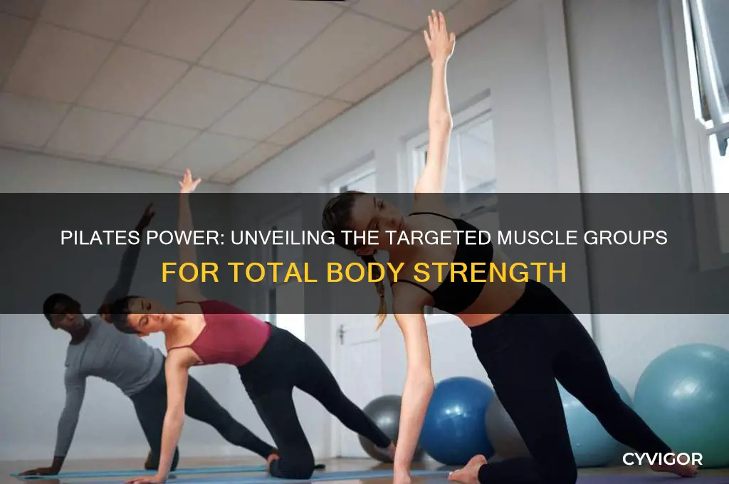 Pilates Power: Unveiling The Targeted Muscle Groups For Total Body ...