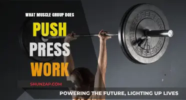 Leg Press Muscles: Targeted Groups And Benefits Explained | CyVigor