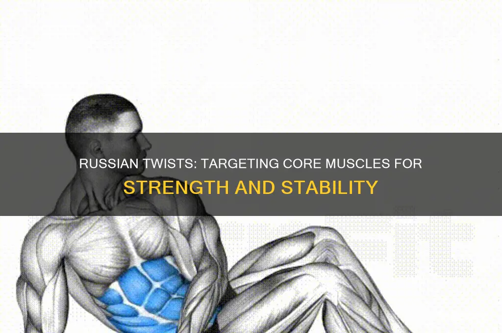 Russian Twists: Targeting Core Muscles For Strength And Stability | CyVigor