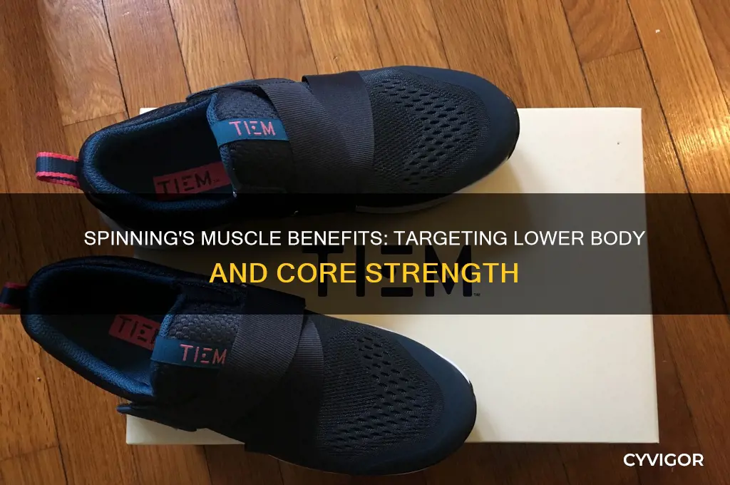 Spinning's Muscle Benefits: Targeting Lower Body And Core Strength ...