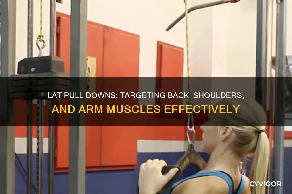 Lat Pull Downs: Targeting Back, Shoulders, And Arm Muscles Effectively ...