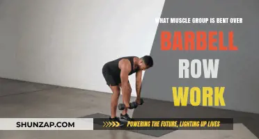 Walking's Muscle Benefits: Targeted Groups And Full-Body Impact ...