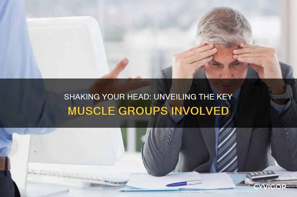 Shaking Your Head: Unveiling The Key Muscle Groups Involved | CyVigor
