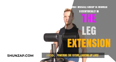 Climbing Stairs: Targeted Muscle Groups And Full-Body Benefits | CyVigor