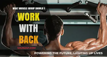Climbing Stairs: Targeted Muscle Groups And Full-Body Benefits | CyVigor